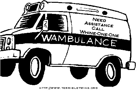 wambulance - Newlyweds on a Budget